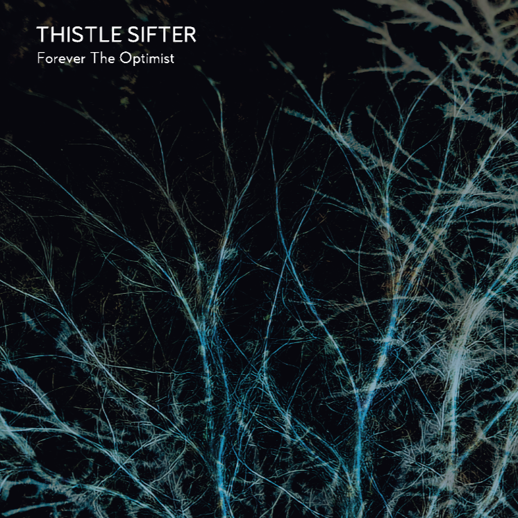 Thistle Sifter – The Band Wagon USA