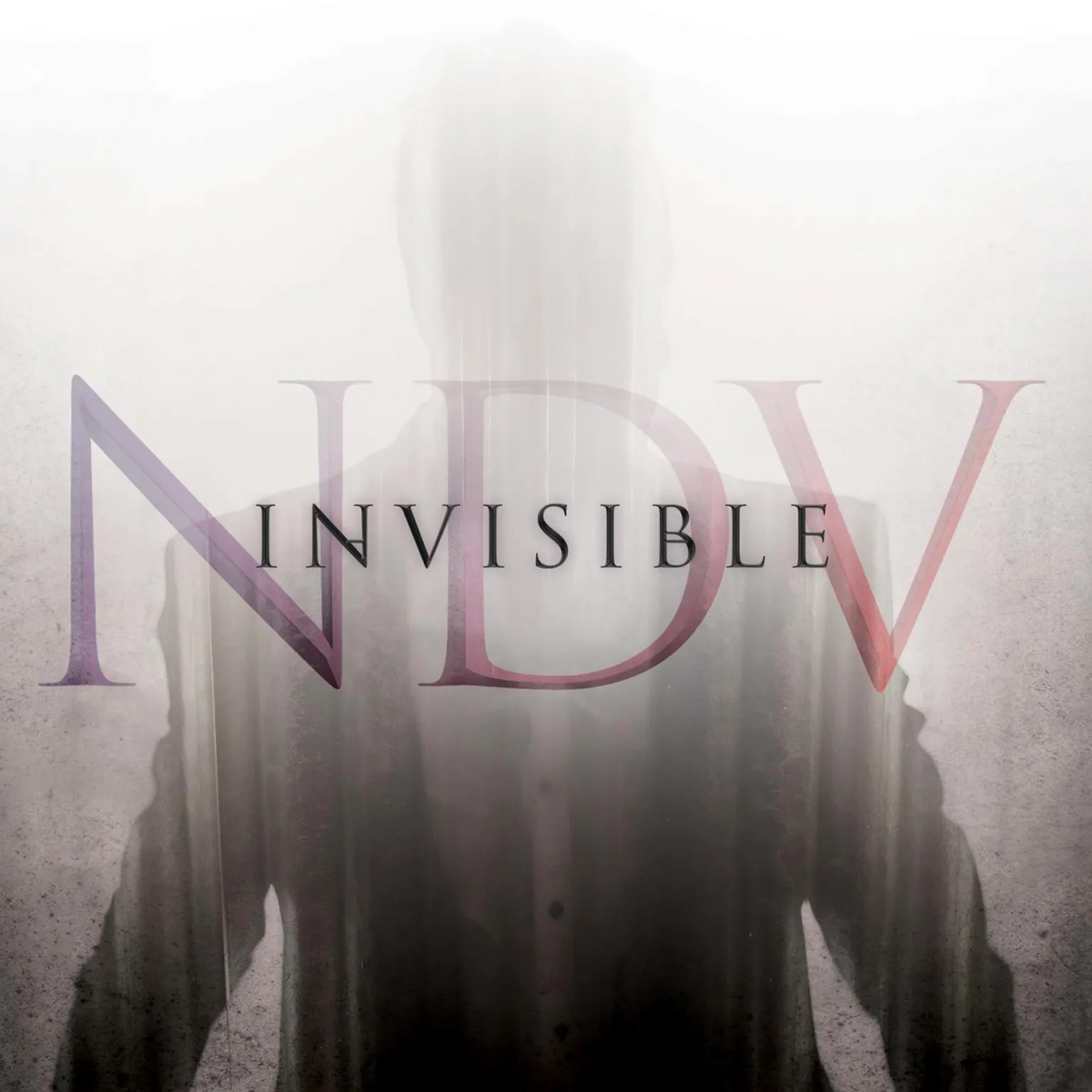 Nick D'Virgilio (NDV) "Invisible" Clear 2LP – The Band Wagon USA