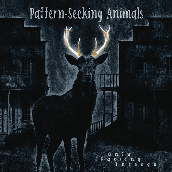 Pattern-Seeking Animals "Only Passing Through" CD – The Band Wagon USA
