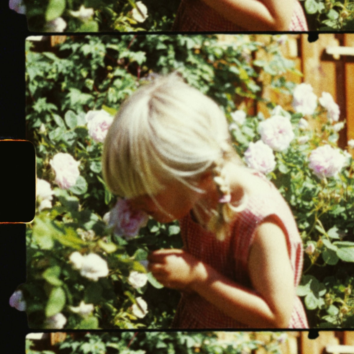 Hiccup Heart "Gravity Racer" LP – The Band Wagon USA