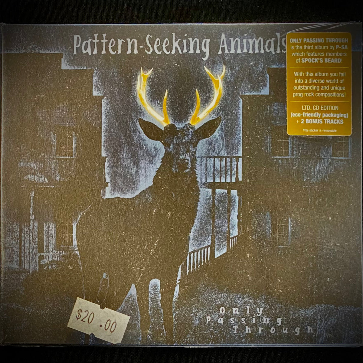 Pattern-Seeking Animals "Only Passing Through" CD – The Band Wagon USA